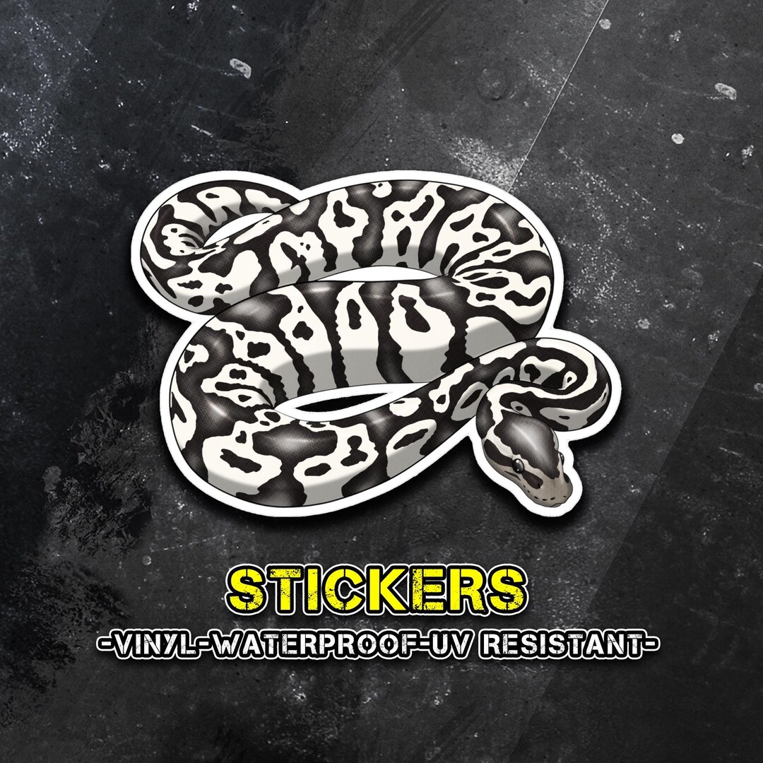 Ball Python Sticker, Cute Snake Decal Sticker, Waterproof Tumbler ...