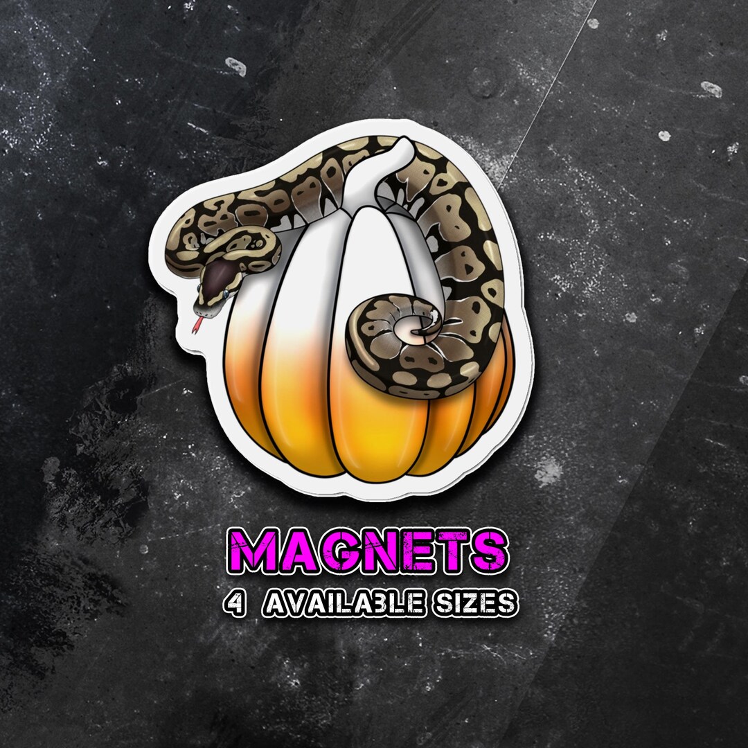 Ball Python Magnet, Snake Magnet for Reptile Lover, Cute Snake on A ...