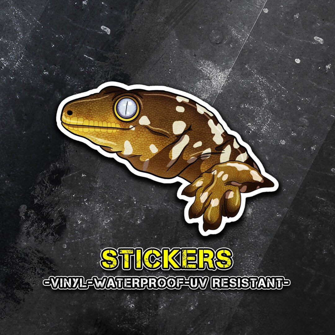 Leachie Gecko Sticker, Lizard Decal for Reptile Lover, Cute Leachianus ...