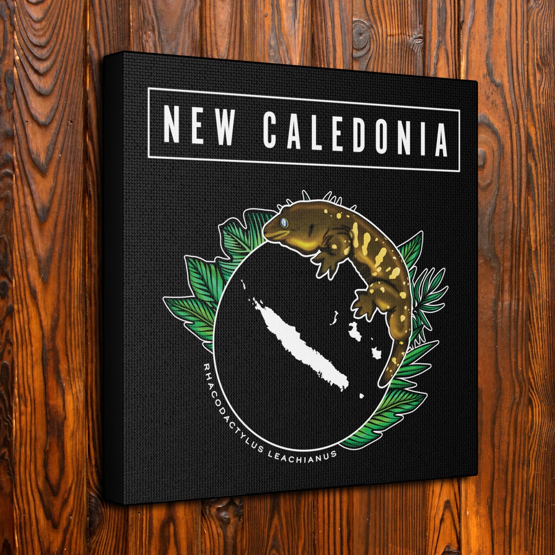 New Caledonia Island Map Leachianus Leachie Gecko Canvas Gallery Wrap ...