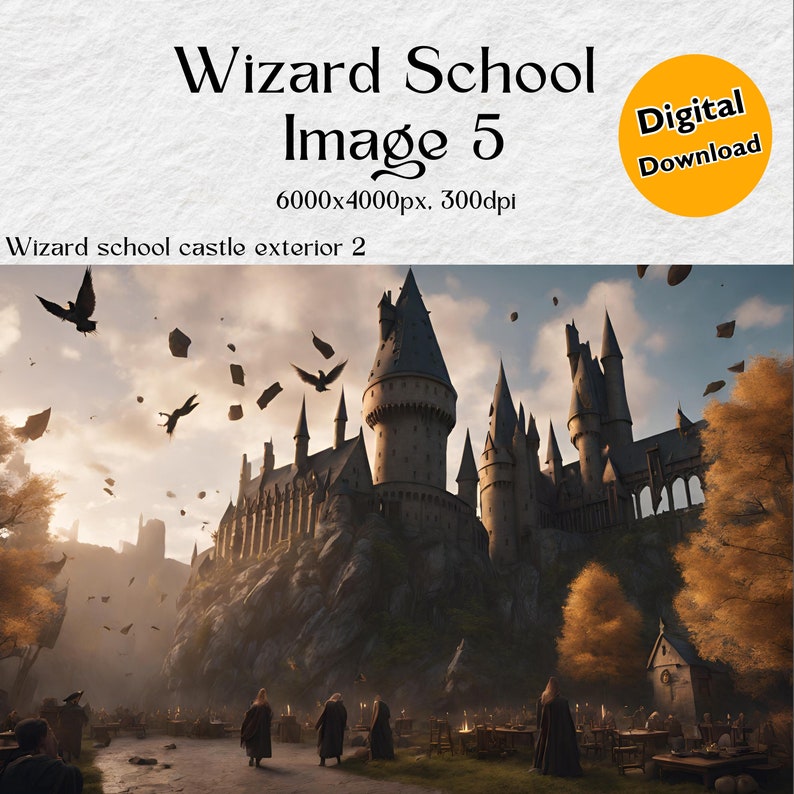 Set of 5 Wizard School Photography Backdrops for Photography Background ...