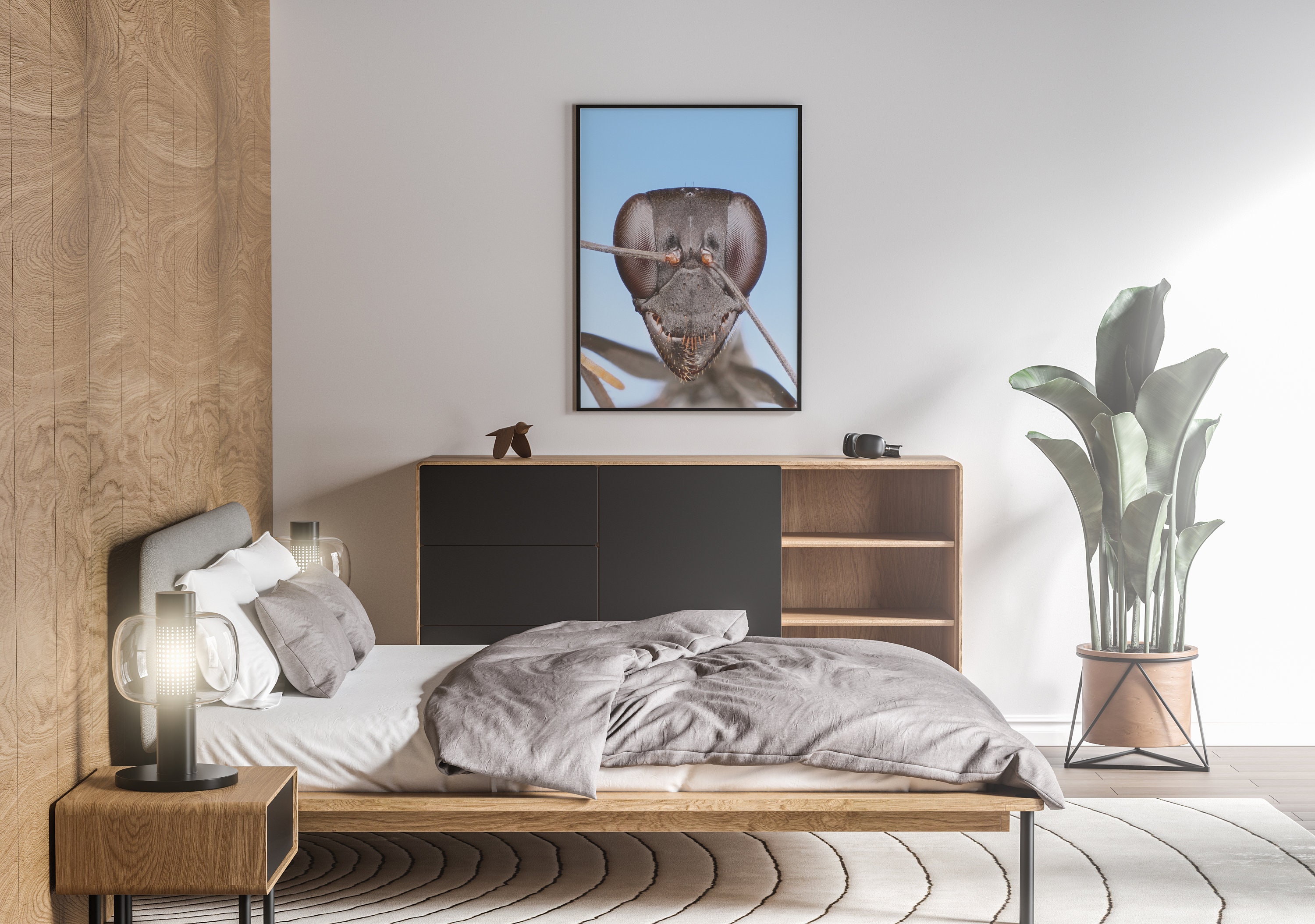 Ant Poster, Insect Art Print, Animal Wall Art, Bug Decor, Science Gift ...