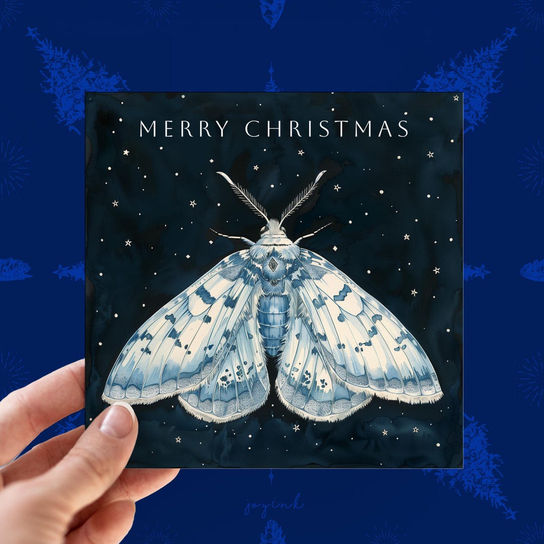 Personalised Moth Christmas Card, Customisable Butterfly Cards for Her ...