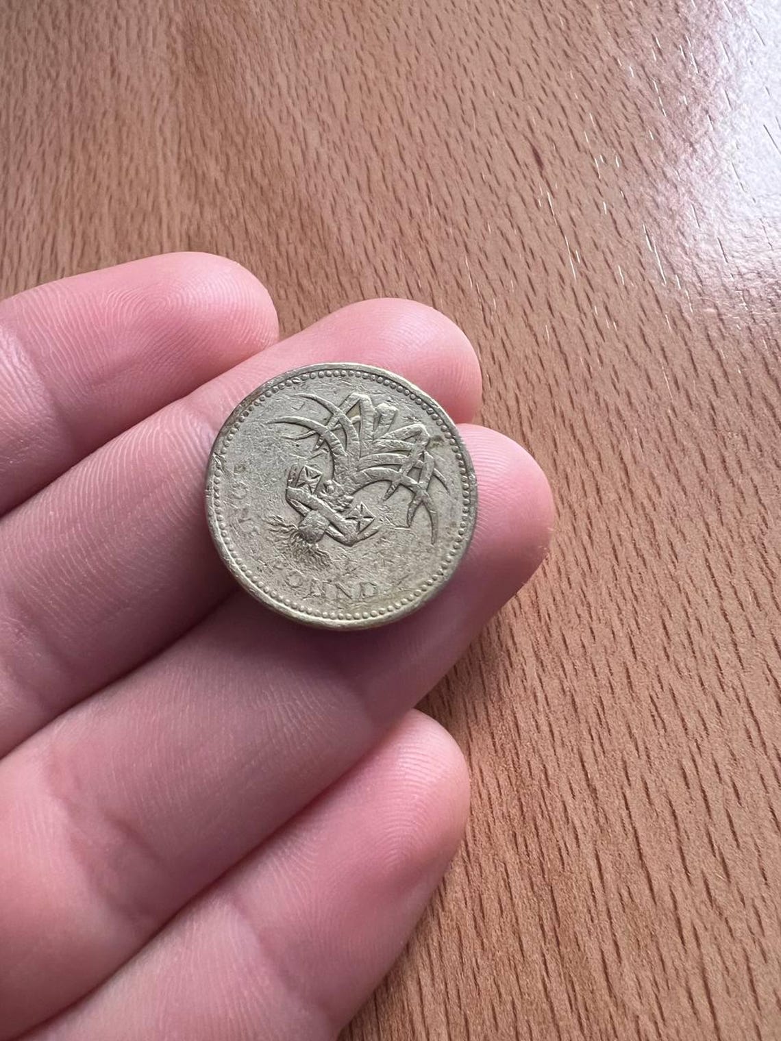 RARE One Pound 1985 Elizabeth ,rare One Pound Coin, Collectible Coin ...