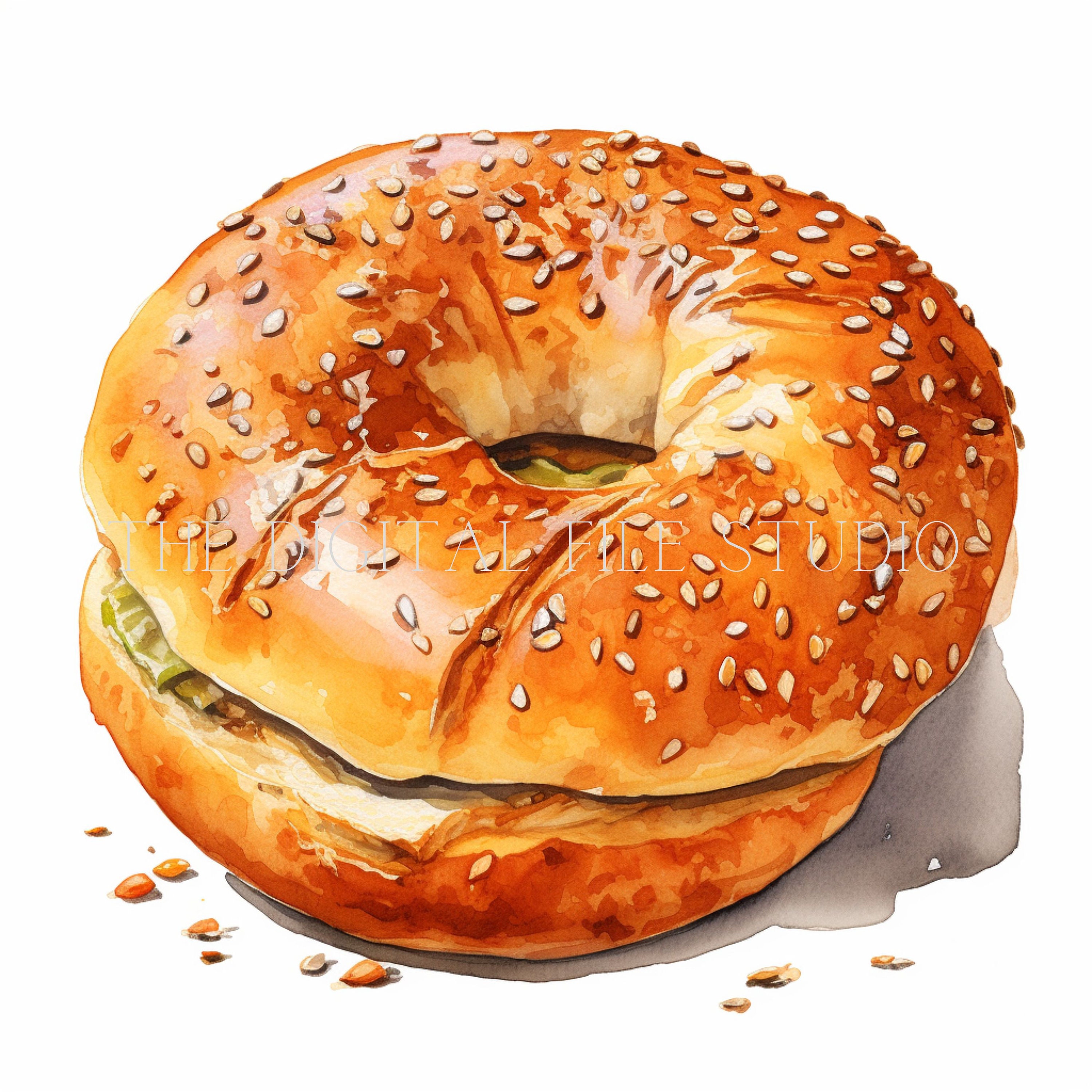12 Watercolor Bagels Clipart PNGJPGPDF Bagels Digital Images Bagels ...