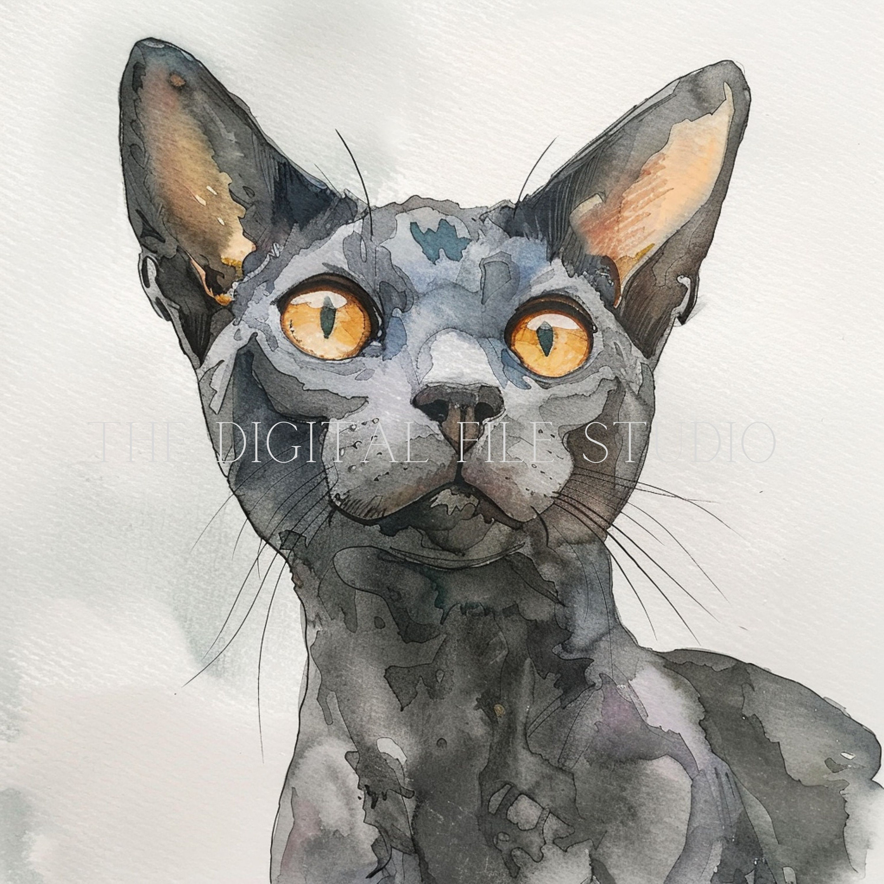 12 High-quality Korat Cat PNG JPG PDF Cat Clipart Watercolor Card ...