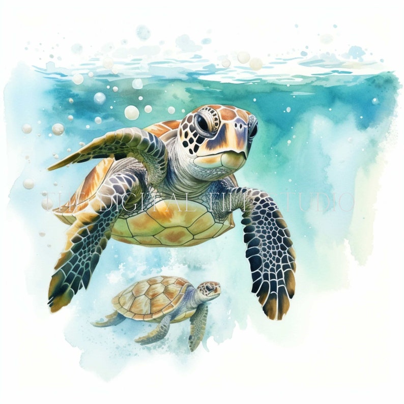 12 Turtle PNGJPGPDF Clipart Digital Download Animal Images Wildlife Art ...