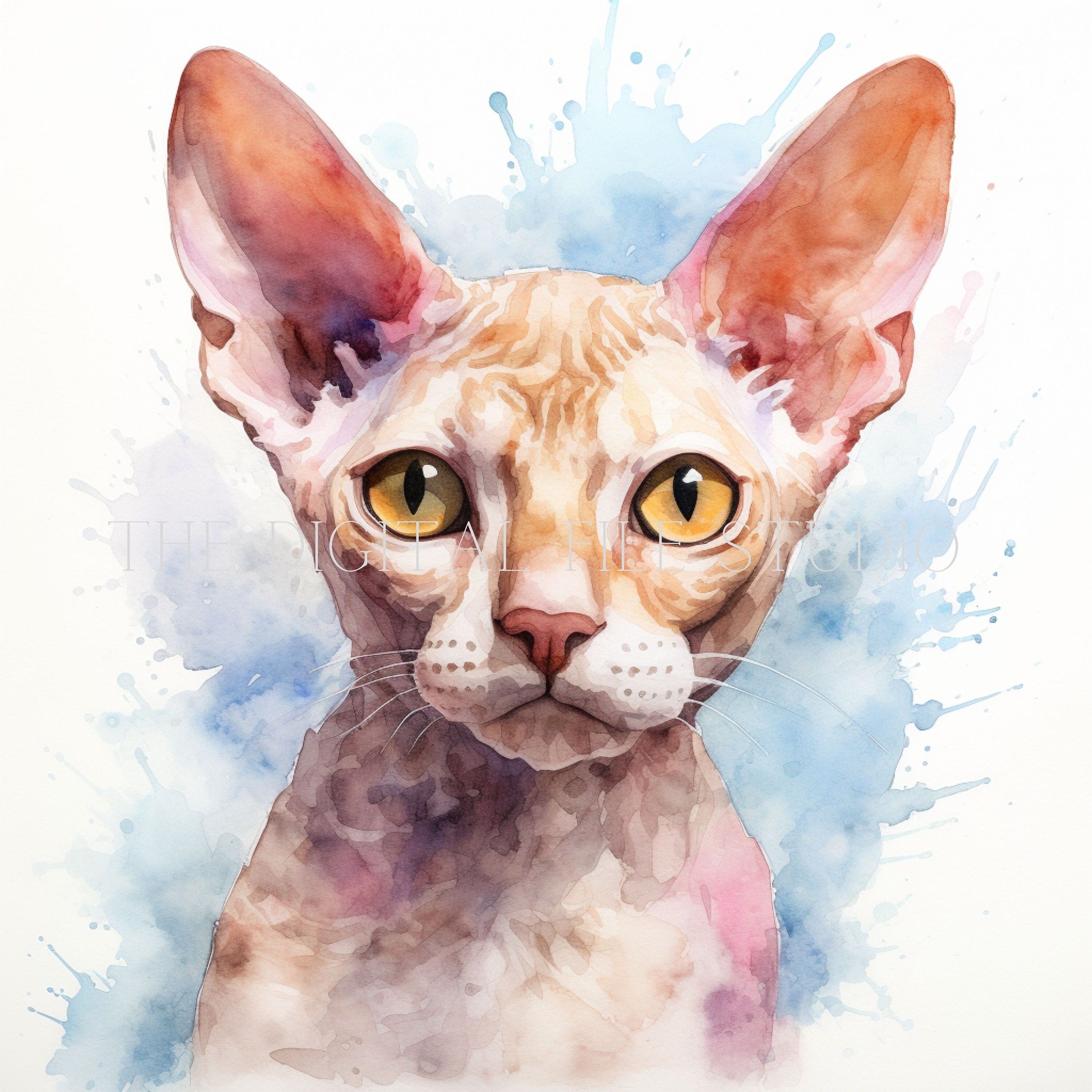 12 High-quality Devon Rex Cat PNG JPG PDF Cat Clipart Watercolor Card ...