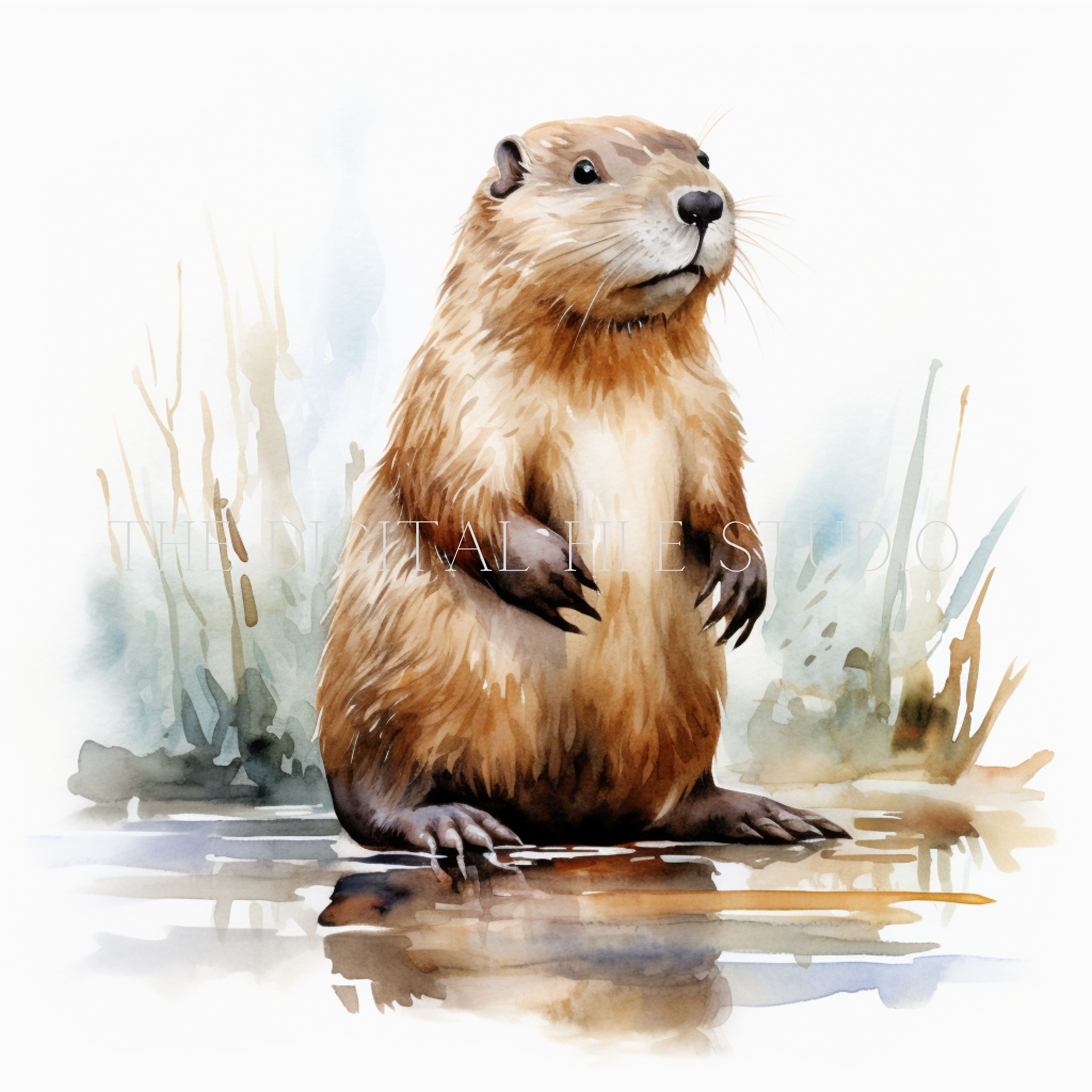 12 Beaver PNGJPGPDF Clipart 12 Digital Download Animal Images Animal ...