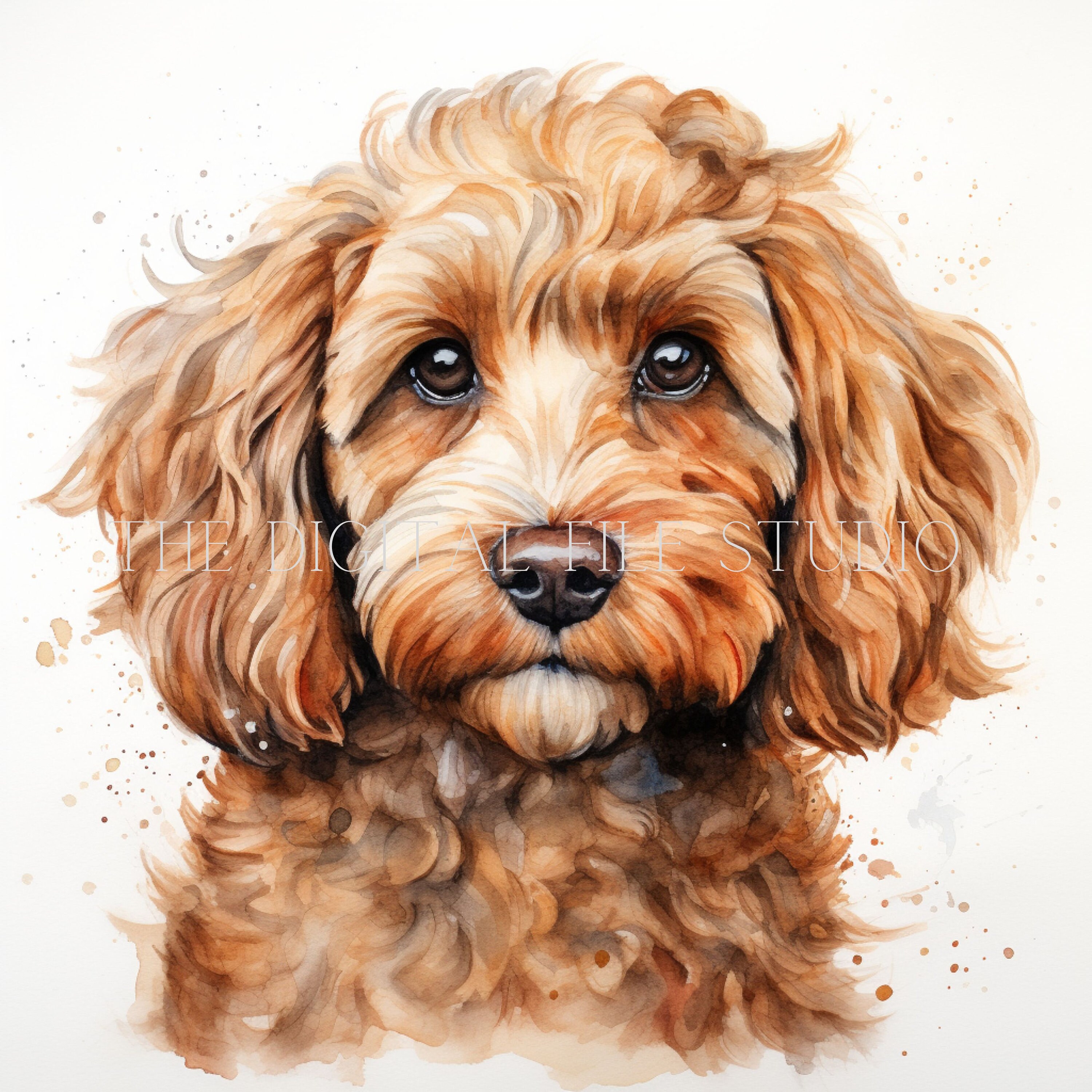 12 High-quality Cockapoo PNG JPG PDF Dog Clipart Watercolor Card Making ...