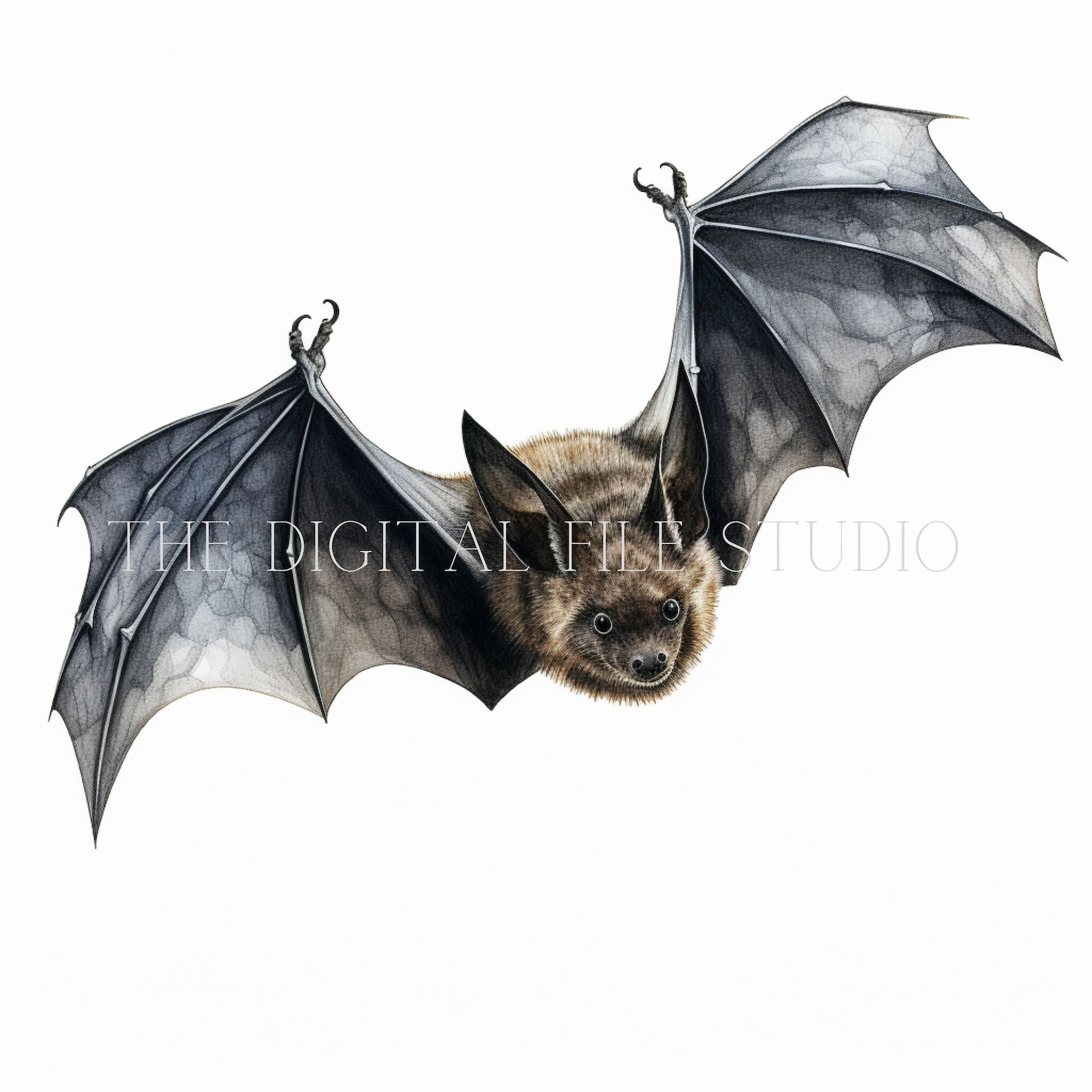 12 Bat PNGJPGPDF Clipart 12 Digital Download Animal Images Animal Art ...