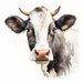 11 Moo-velous Dairy Cow PNGJPGPDF Clipart 11 Digital Download Animal ...