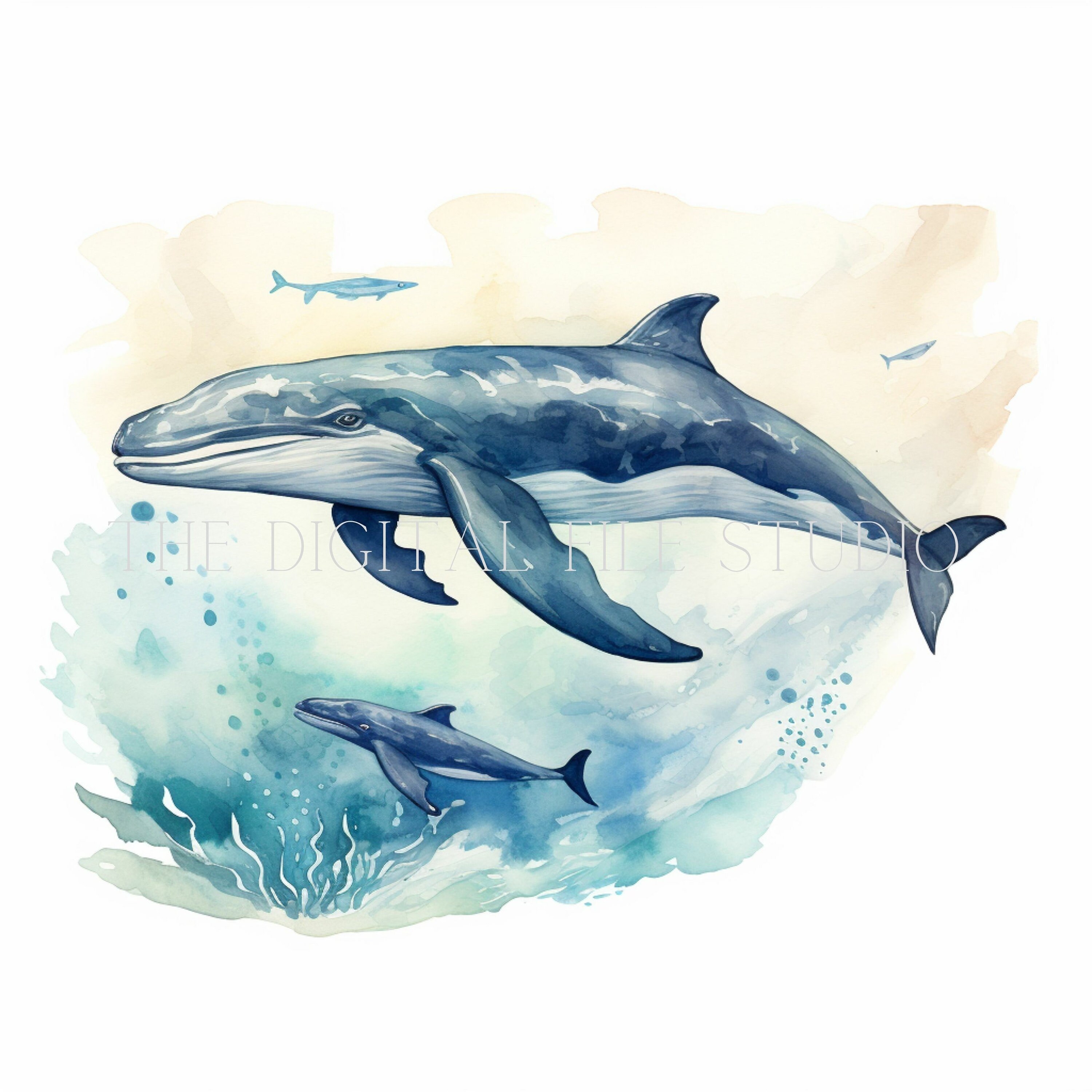 12 Whale PNGJPGPDF Clipart 12 Digital Download Animal Images Animal Art ...
