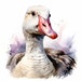 12 Goose PNGJPGPDF Clipart 12 Digital Download Animal Images Animal Art ...