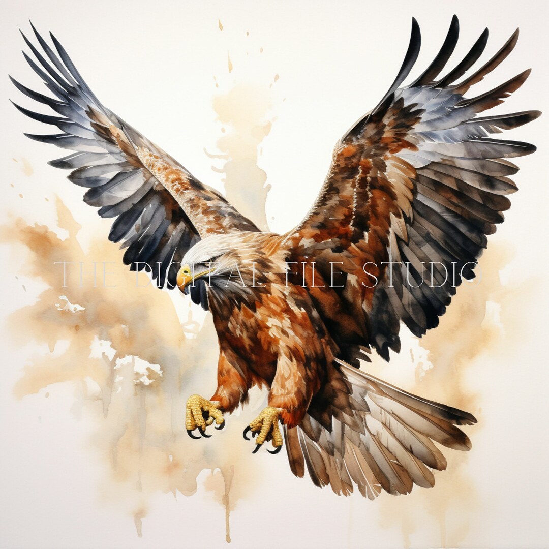 12 Eagle PNGJPGPDF Clipart 12 Digital Download Animal Images Animal Art Animal Lovers Watercolor ...