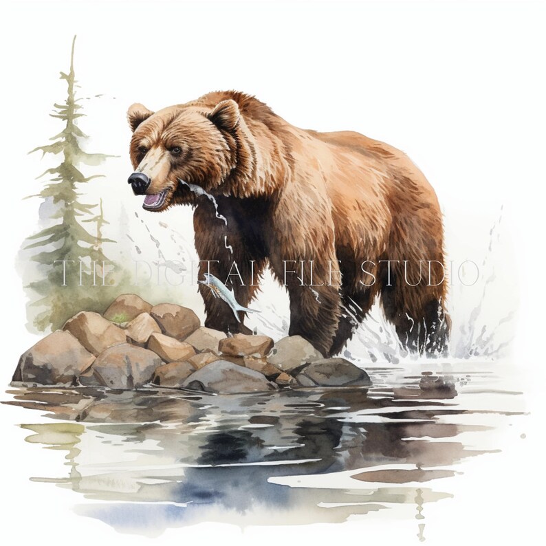12 Brown Bear PNGJPGPDF Clipart Digital Download Animal Images Wildlife ...