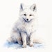 12 Arctic Fox PNGJPGPDF Clipart 12 Digital Download Animal Images ...
