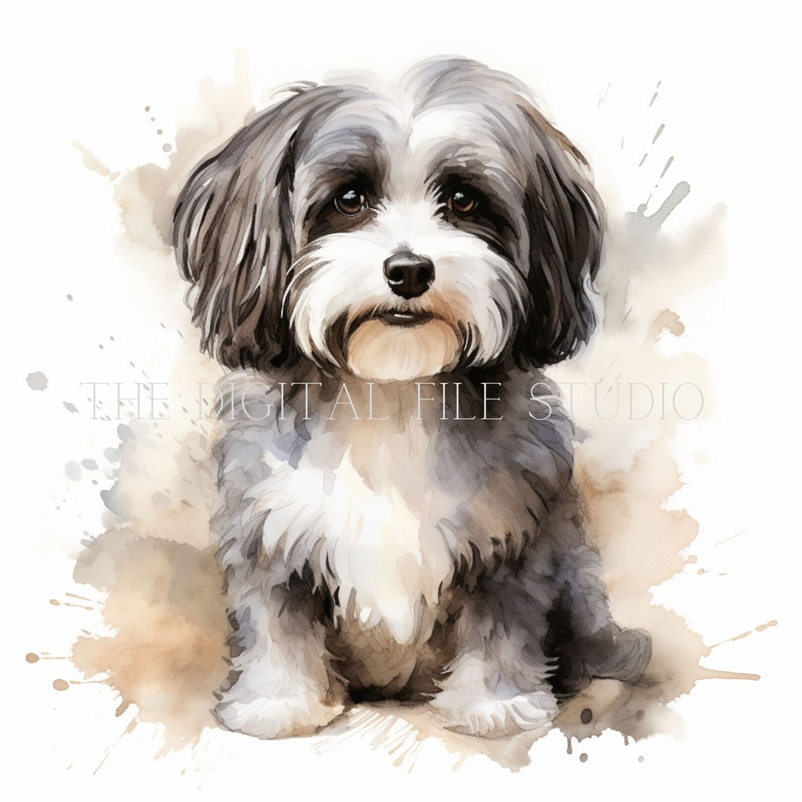 12 High-quality Havanese PNG JPG PDF Dog Clipart Watercolor Card Making ...