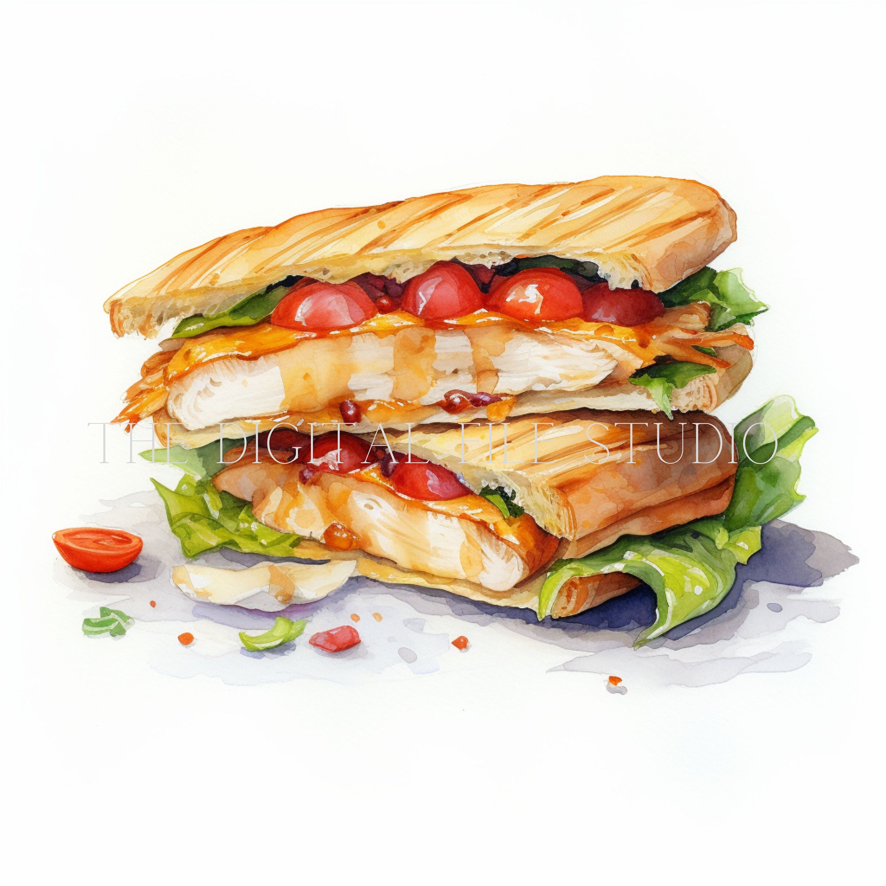 12 Watercolor Chicken Panini Clipart PNGJPGPDF Digital Images Graphics ...