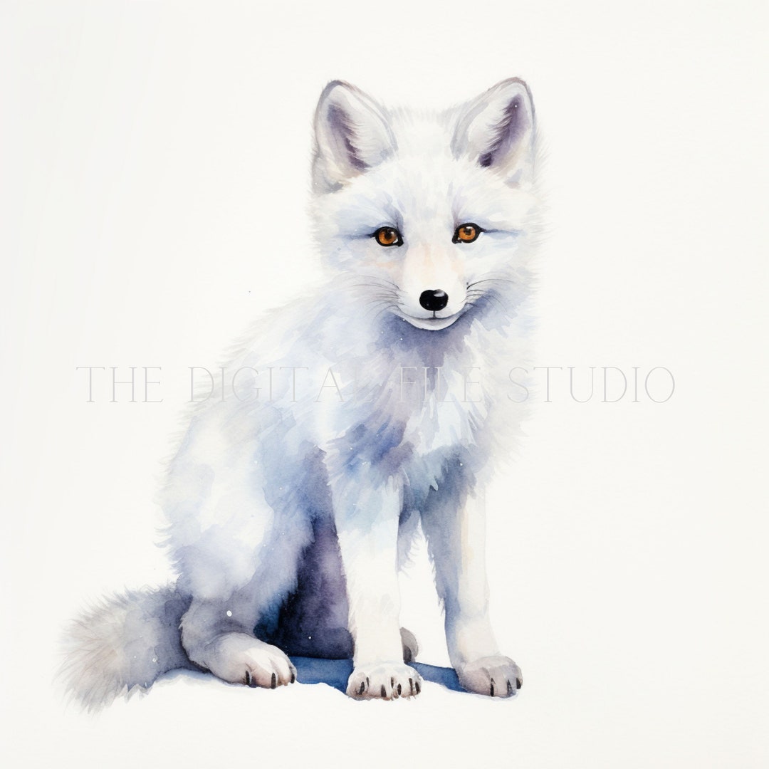 12 Arctic Fox PNGJPGPDF Clipart 12 Digital Download Animal Images ...
