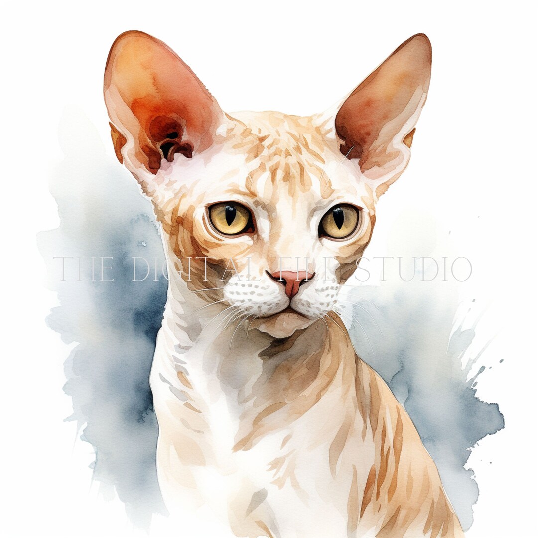 12 High-quality Devon Rex Cat PNG JPG PDF Cat Clipart Watercolor Card ...