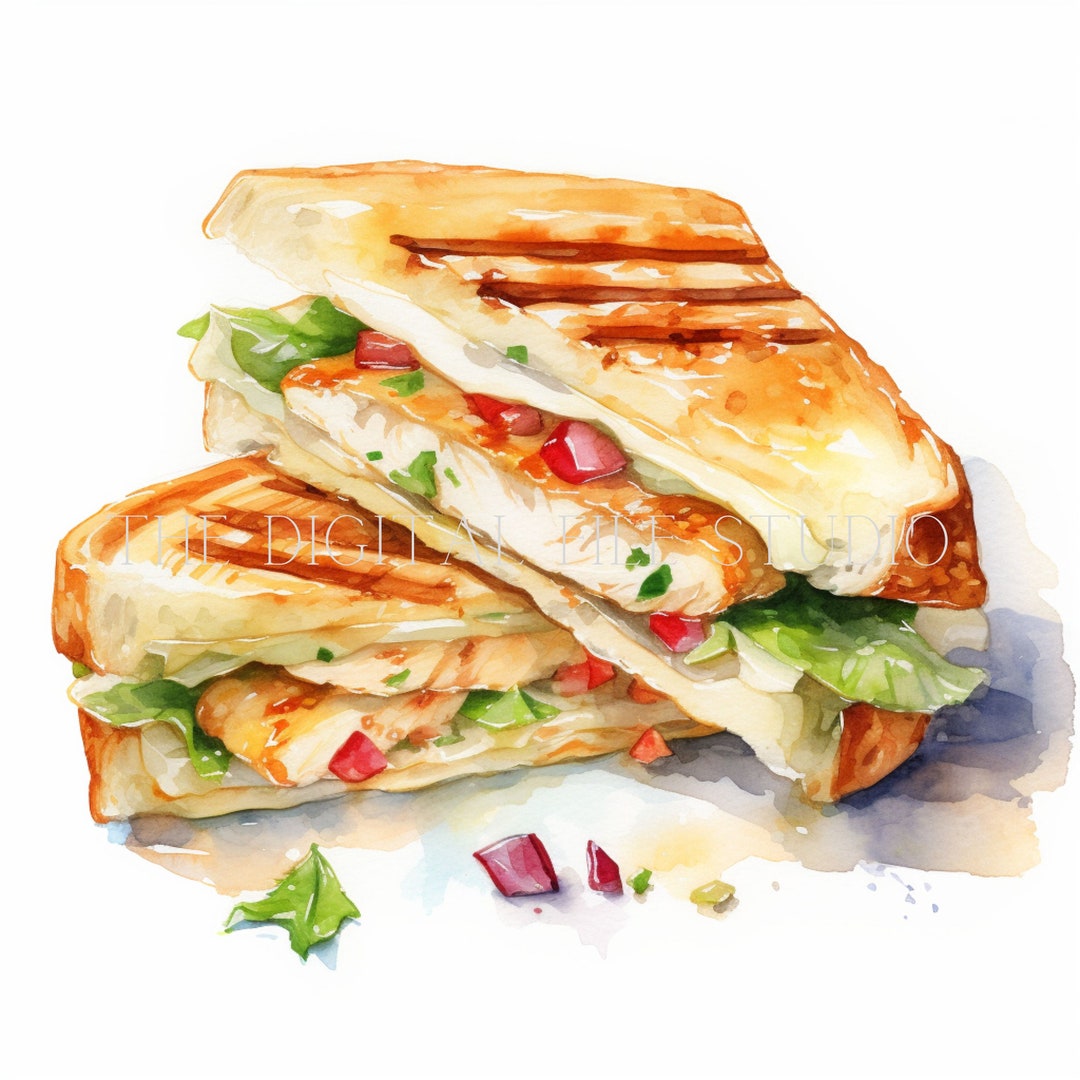 12 Watercolor Chicken Panini Clipart PNGJPGPDF Digital Images Graphics ...