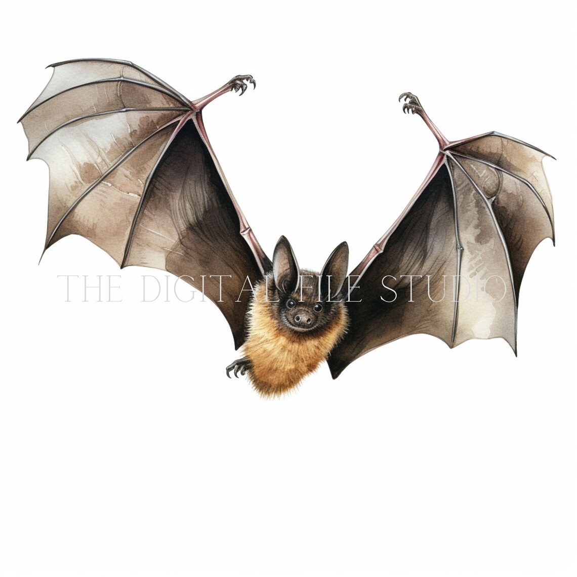 12 Bat PNGJPGPDF Clipart 12 Digital Download Animal Images Animal Art ...
