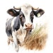 11 Moo-velous Dairy Cow PNGJPGPDF Clipart 11 Digital Download Animal ...