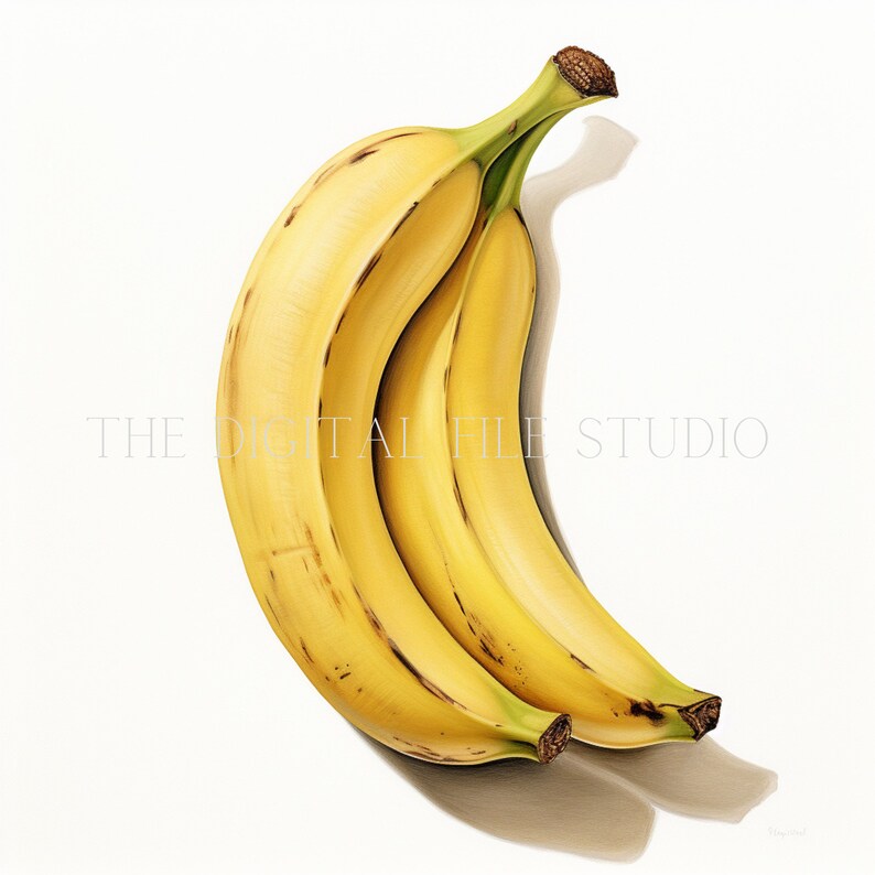 12 Watercolor Bananas Clipart PNGJPGPDF Digital Images Graphics ...