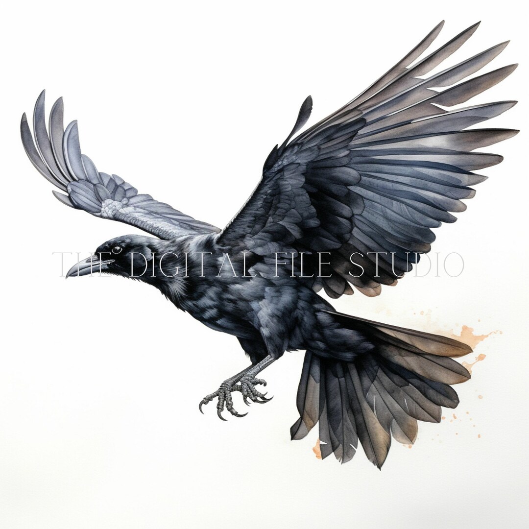 12 Crow PNGJPGPDF Clipart 12 Digital Download Animal Images Animal Art ...