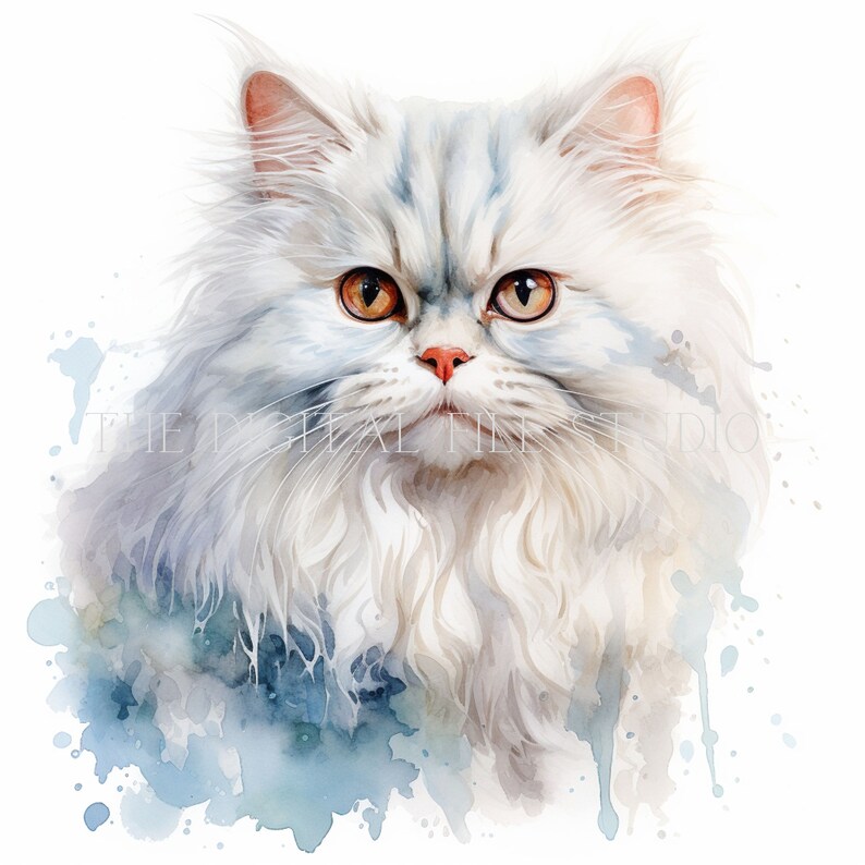 12 High-quality Persian Cat PNG JPG PDF Cat Clipart Watercolor Card ...