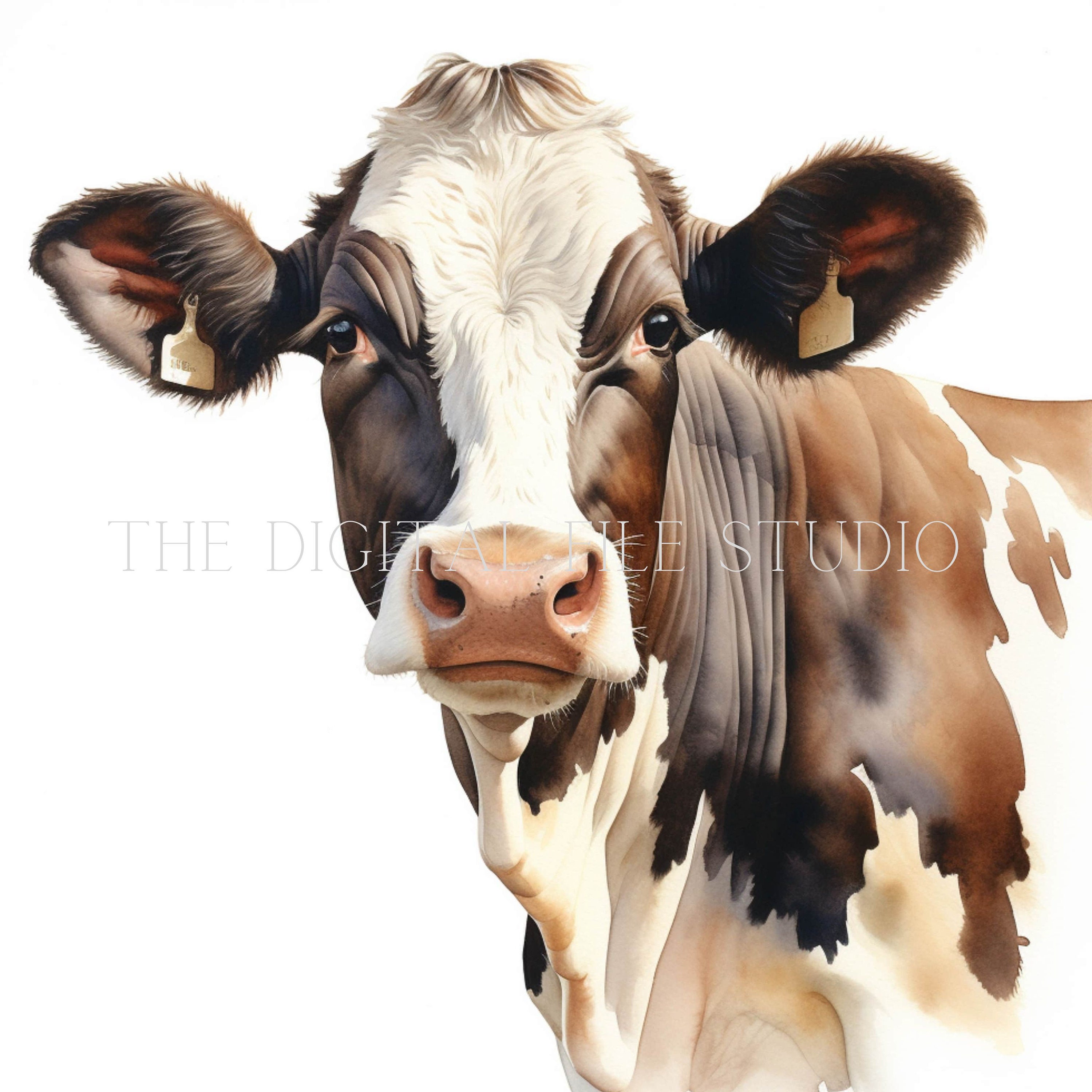 11 Moo-velous Dairy Cow PNGJPGPDF Clipart 11 Digital Download Animal ...