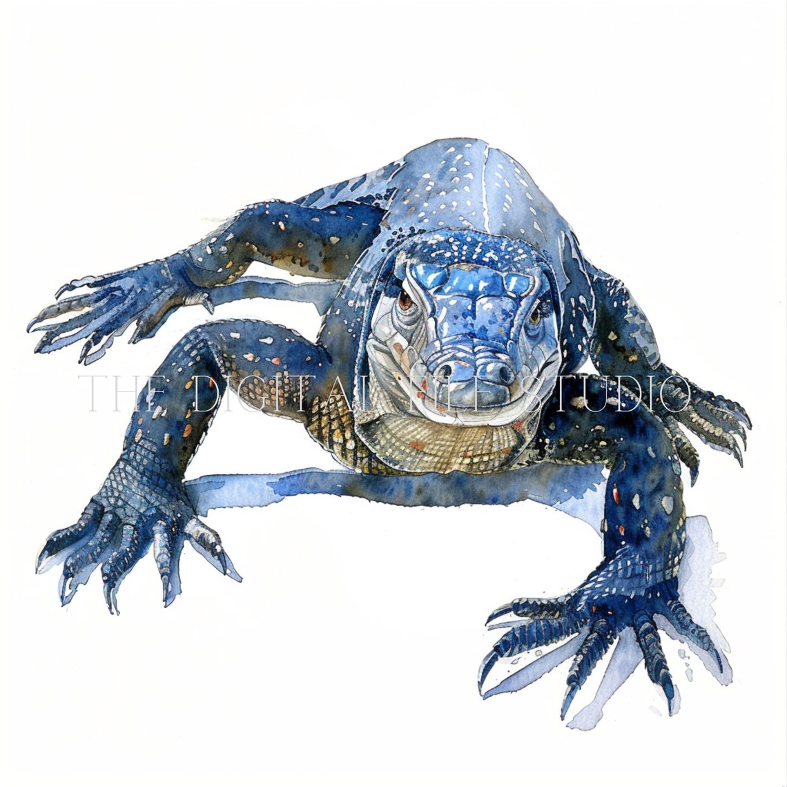 12 Monitor Lizard PNGJPGPDF Clipart 12 Digital Download Animal Images ...