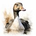 12 Goose PNGJPGPDF Clipart 12 Digital Download Animal Images Animal Art ...