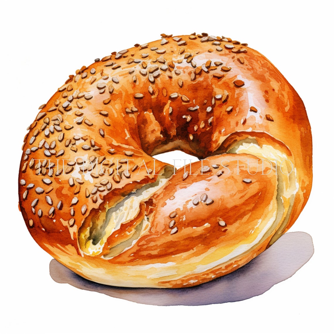 12 Watercolor Bagels Clipart PNGJPGPDF Bagels Digital Images Bagels ...