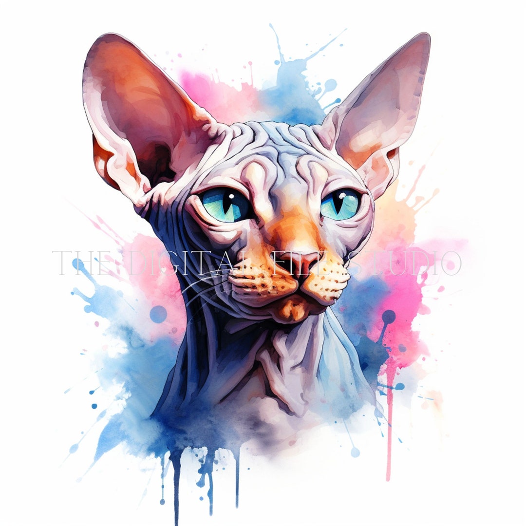 12 High-quality Sphynx PNG JPG PDF Cat Clipart Watercolor Card Making Commercial Use Digital ...