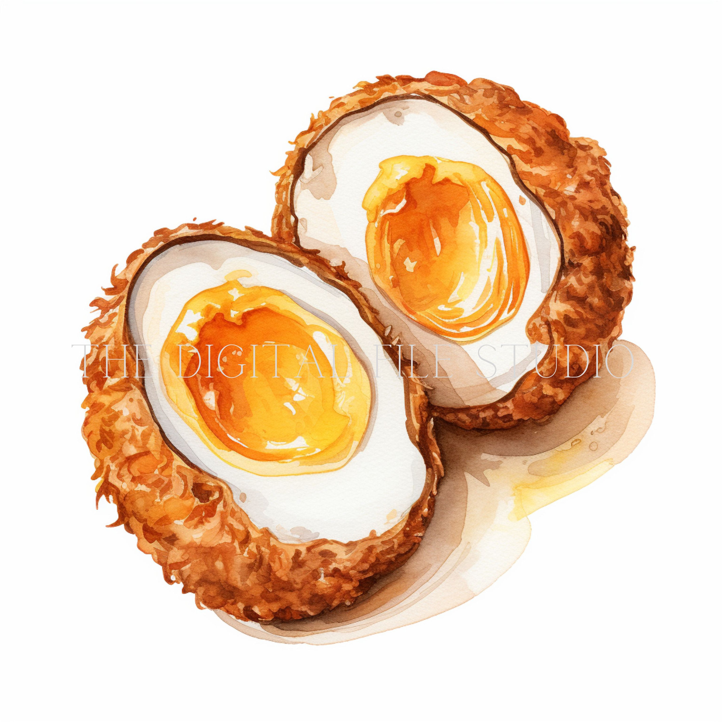12 Watercolor Scotch Eggs Clipart PNGJPGPDF Scotch Eggs Digital Images ...