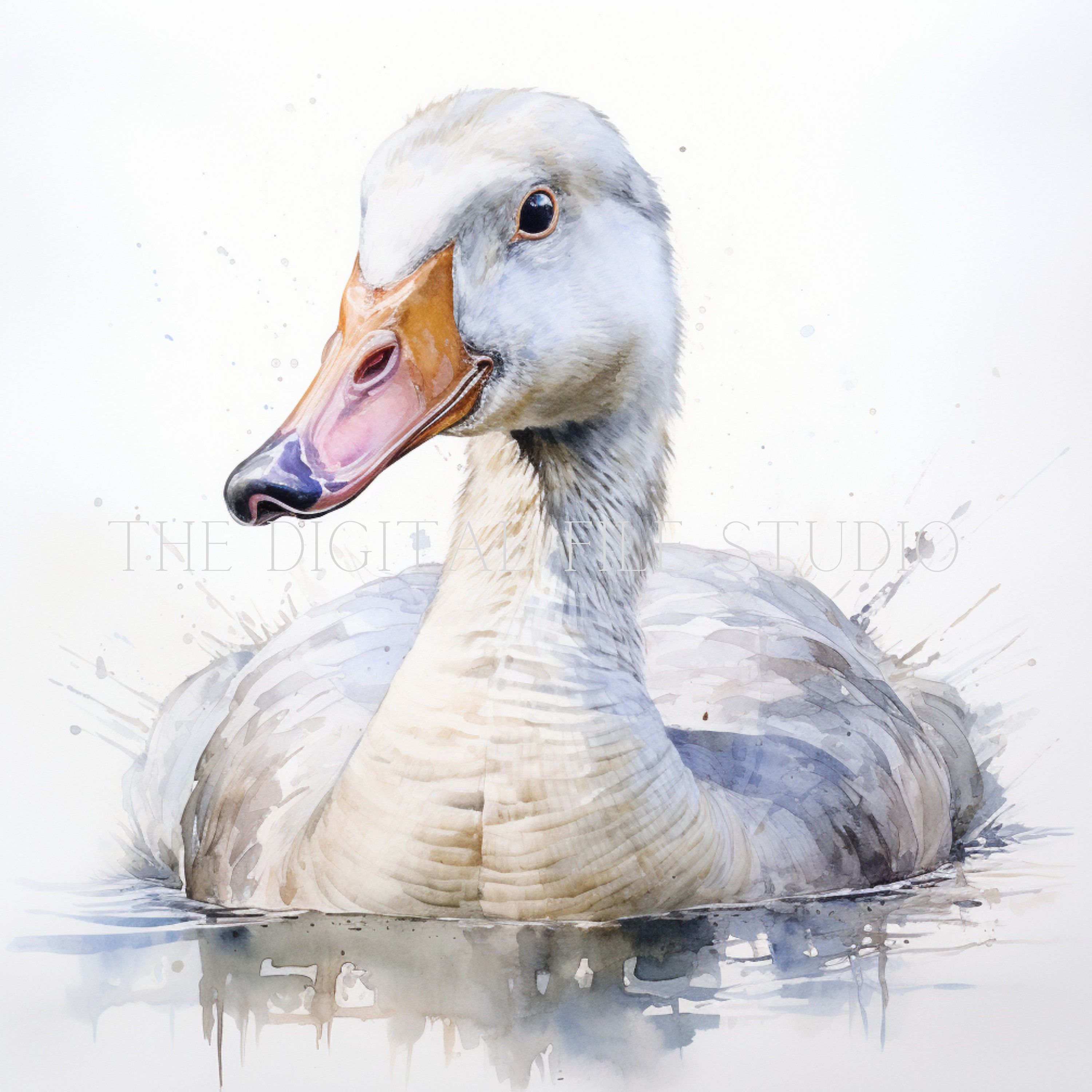 12 Goose PNGJPGPDF Clipart 12 Digital Download Animal Images Animal Art ...