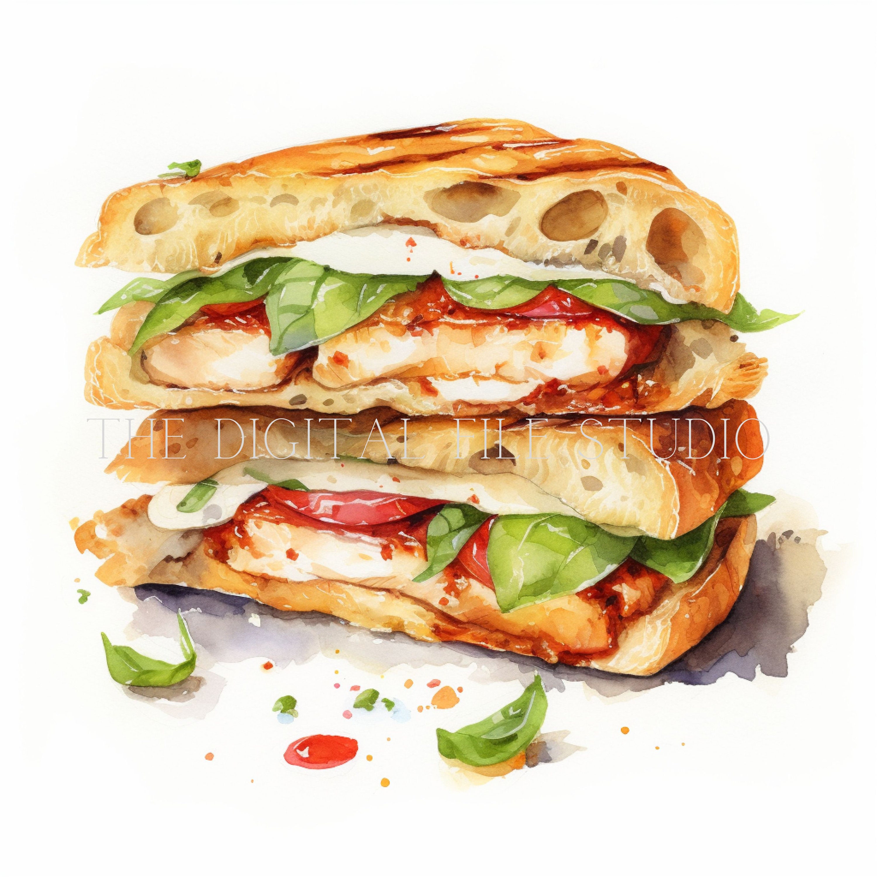 12 Watercolor Chicken Panini Clipart PNGJPGPDF Digital Images Graphics ...