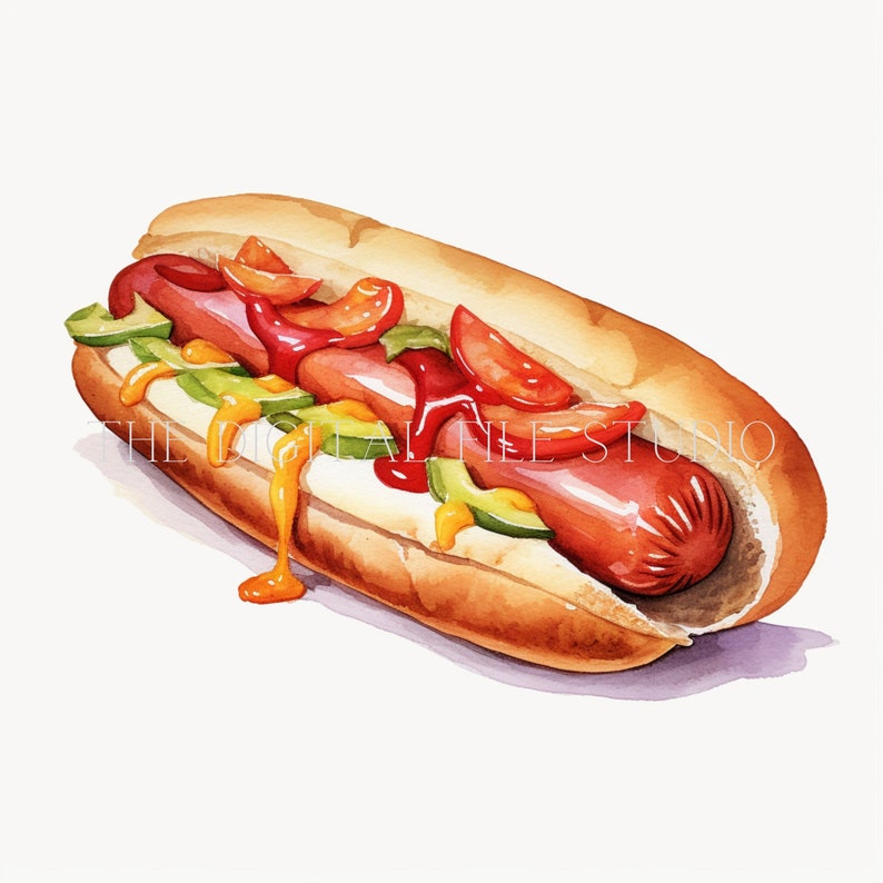 12 Watercolor Hotdog Clipart PNGJPGPDF Hotdog Digital Images Hotdog ...