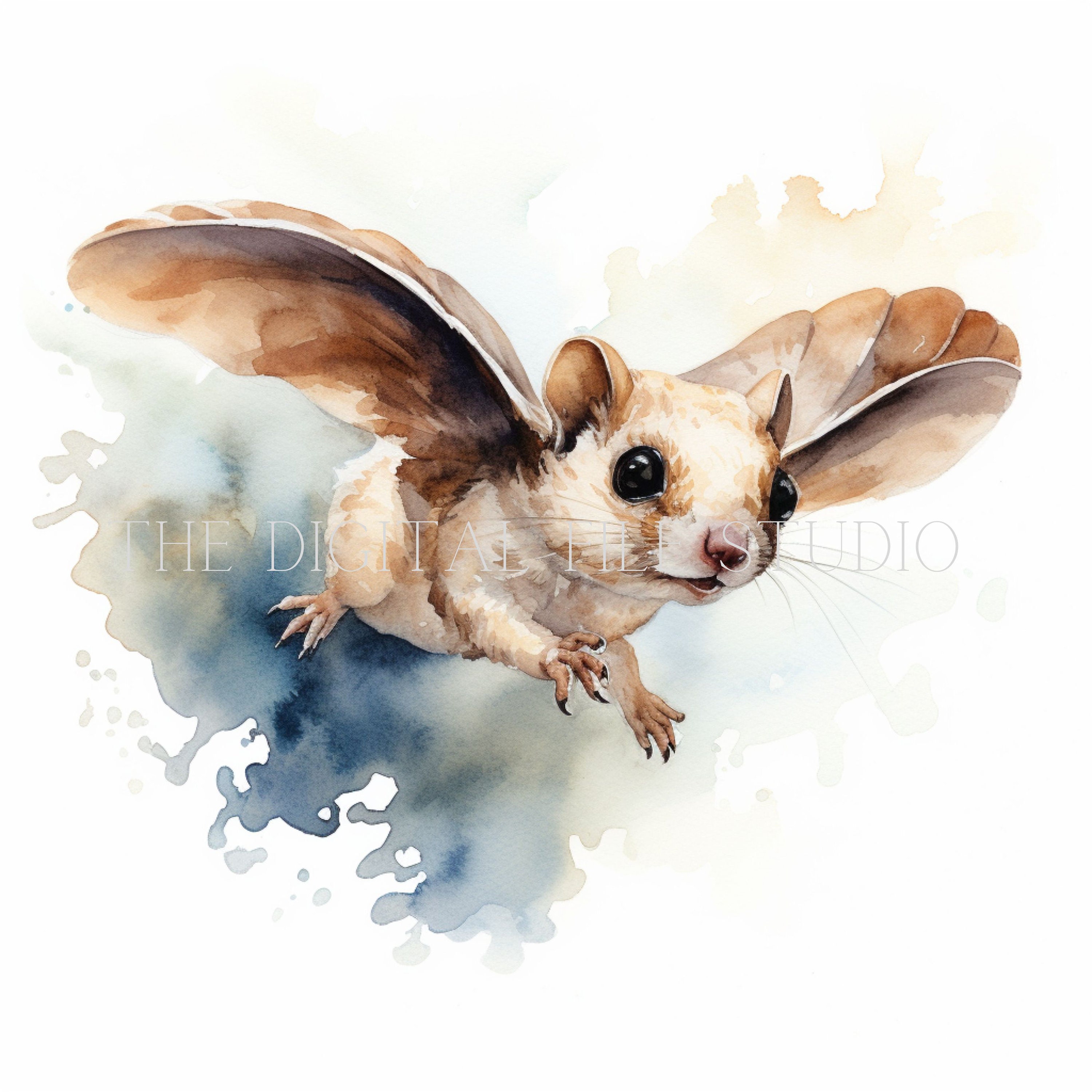12 Flying Squirrel PNGJPGPDF Clipart 12 Digital Download Animal Images ...
