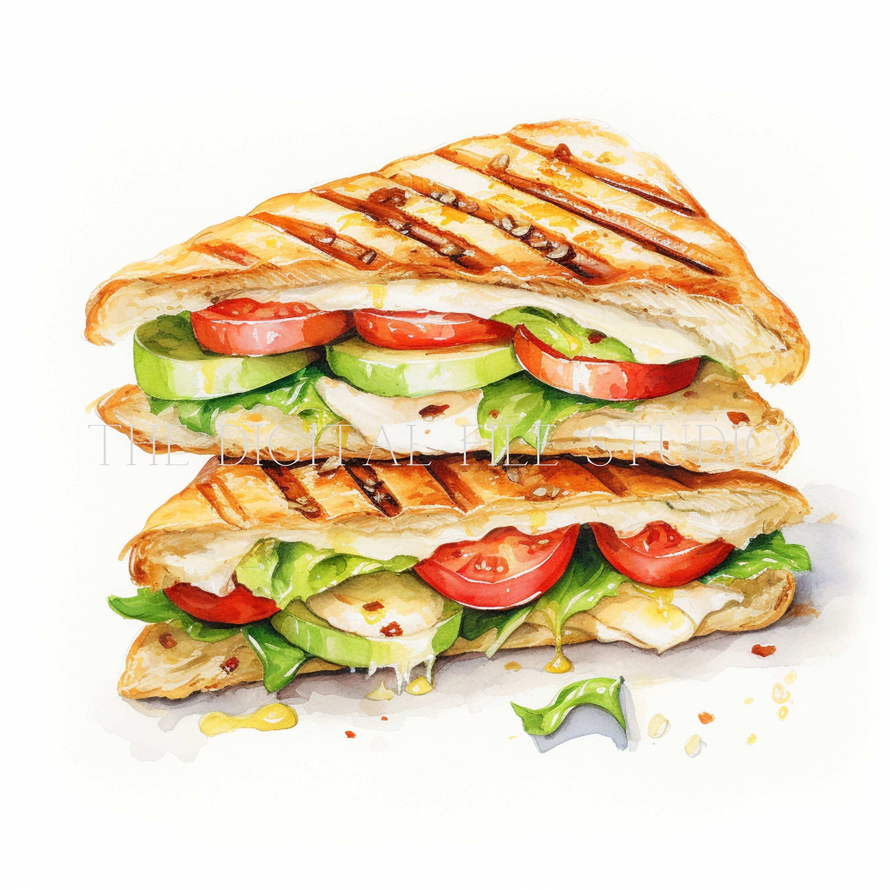 12 Watercolor Chicken Panini Clipart PNGJPGPDF Digital Images Graphics ...