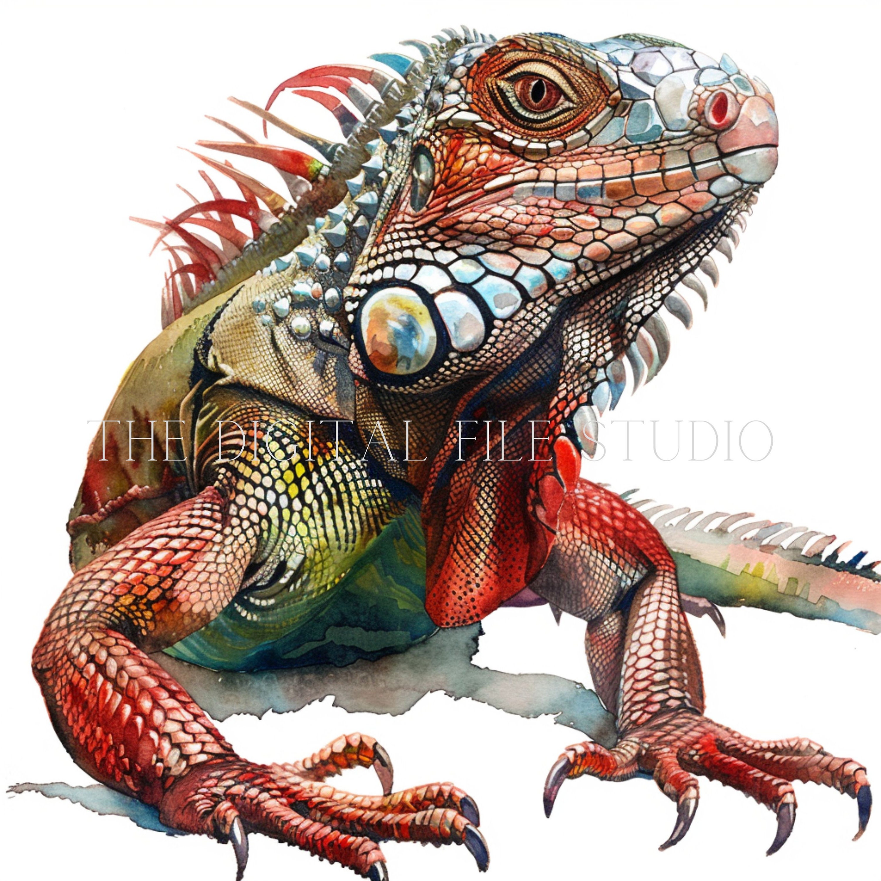 12 Iguana PNGJPGPDF Clipart 12 Digital Download Animal Images Animal ...