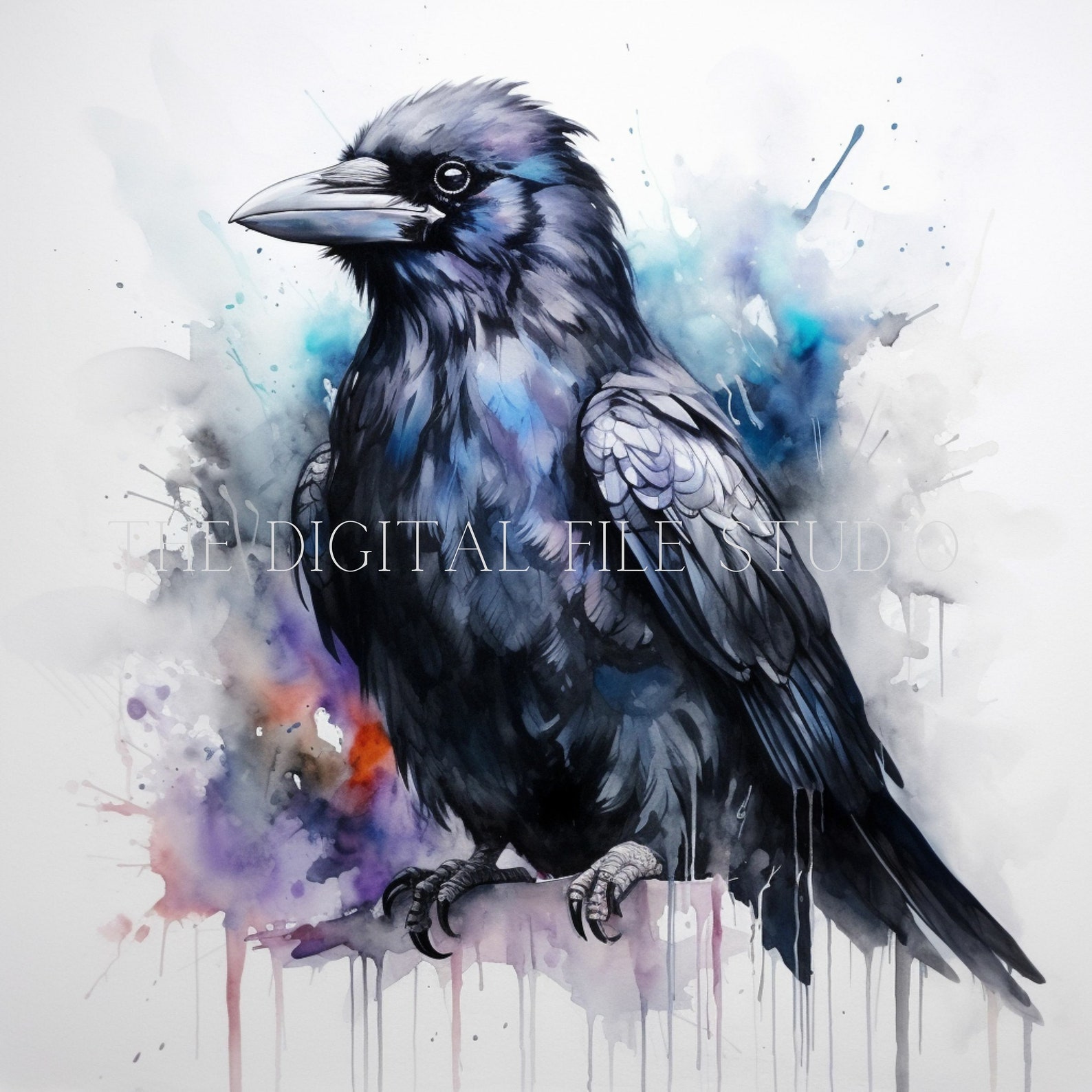 12 Crow PNGJPGPDF Clipart 12 Digital Download Animal Images Animal Art ...
