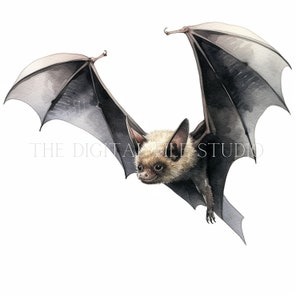12 Bat PNGJPGPDF Clipart 12 Digital Download Animal Images Animal Art ...