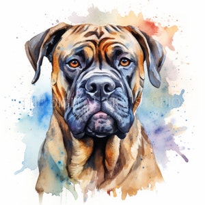 12 High-quality Bullmastiff PNG JPG PDF Dog Clipart Watercolor Card ...