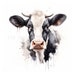 11 Moo-velous Dairy Cow PNGJPGPDF Clipart 11 Digital Download Animal ...