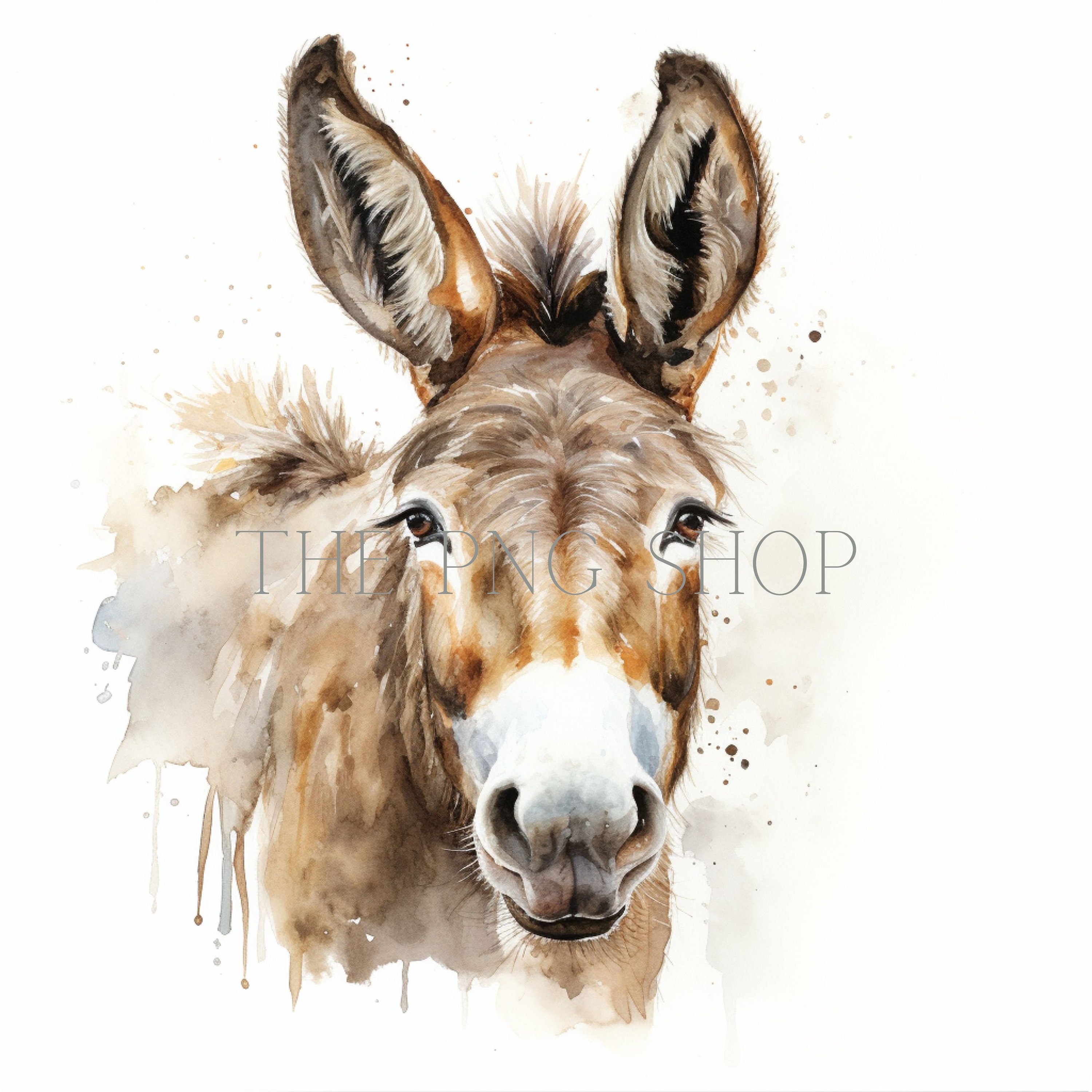10 Donkey PNGJPGPDF Clipart 10 Digital Download Animal Images Farm Art ...
