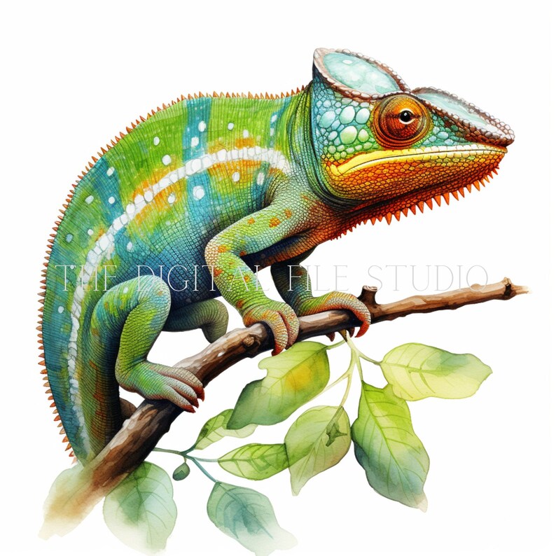 12 Chameleon PNGJPGPDF Clipart 12 Digital Download Animal Images Animal ...