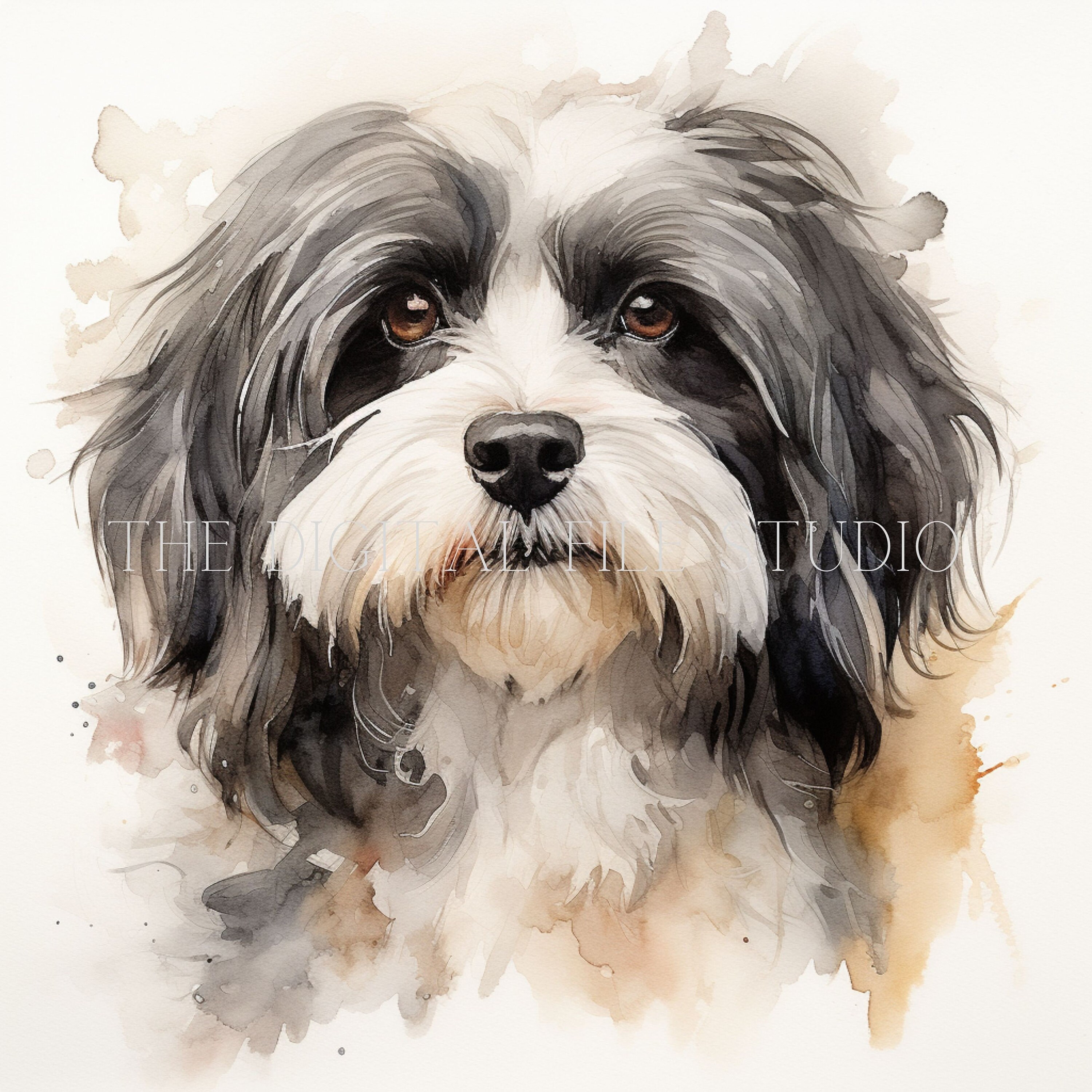 12 High-quality Havanese PNG JPG PDF Dog Clipart Watercolor Card Making ...